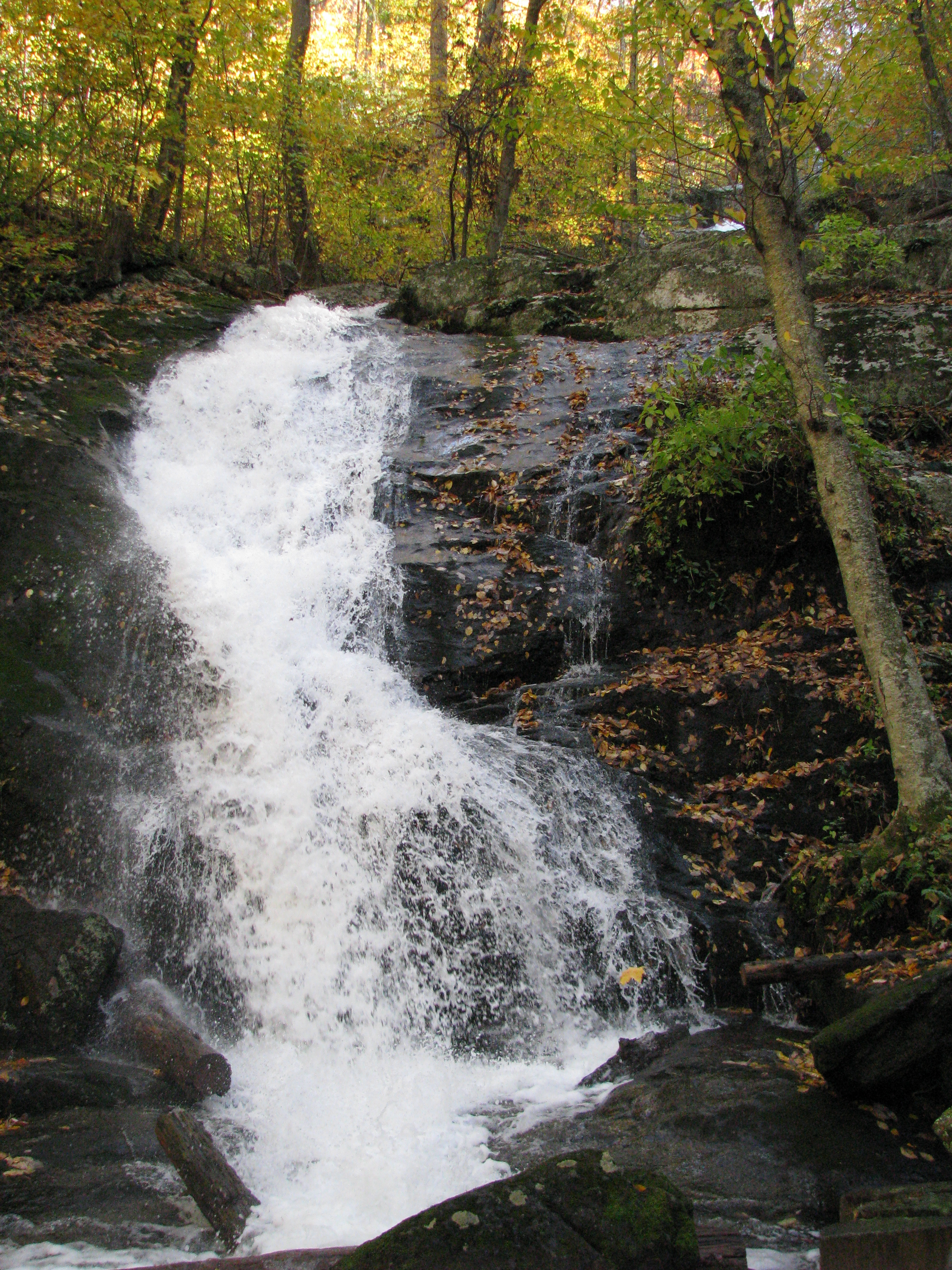 Apple Trees and Waterfalls – Part Two | steadily skipping stones