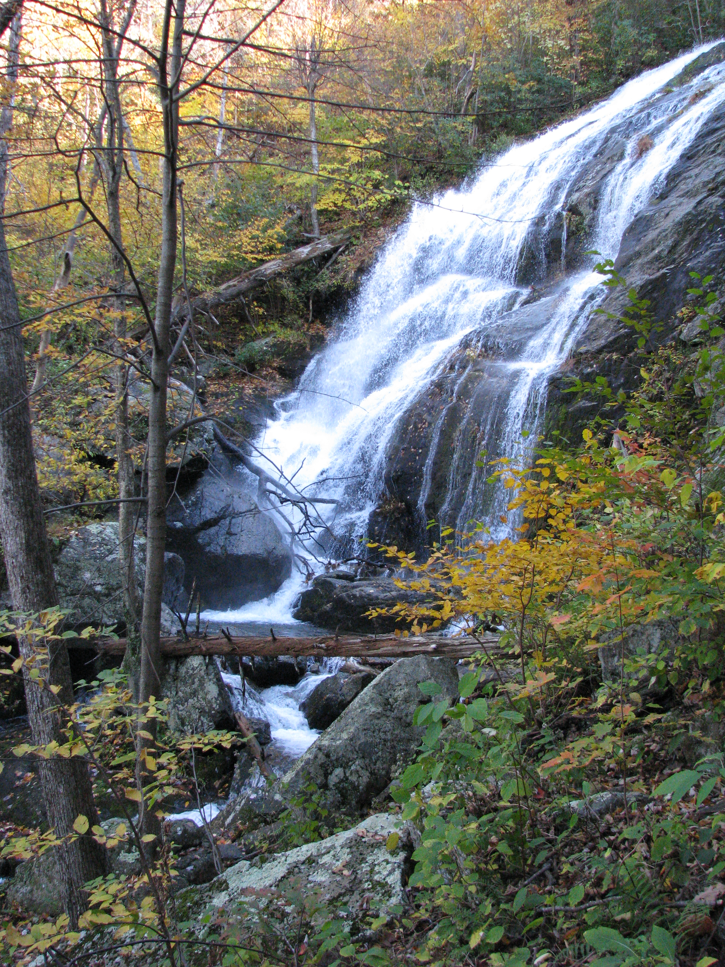 Apple Trees and Waterfalls – Part Two | steadily skipping stones